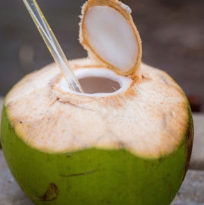 Fire Dragon Hideaway Coconuts For Everything - Human, Canine and Feline ...